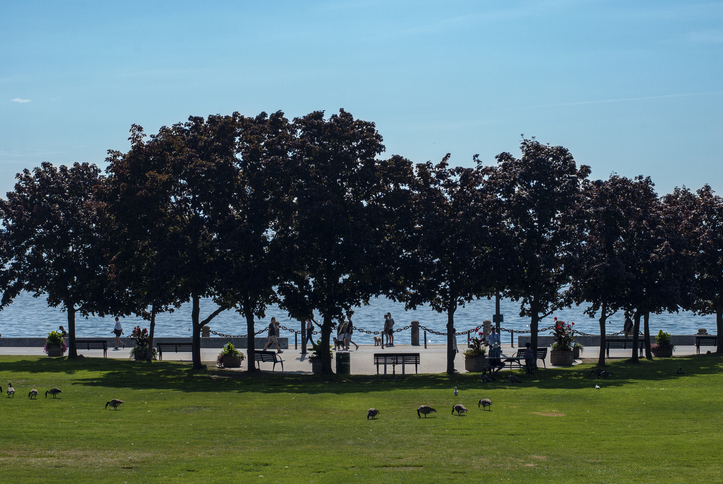 Explore Millcroft and Burlington: 10 Summer Activities You Can’t Miss